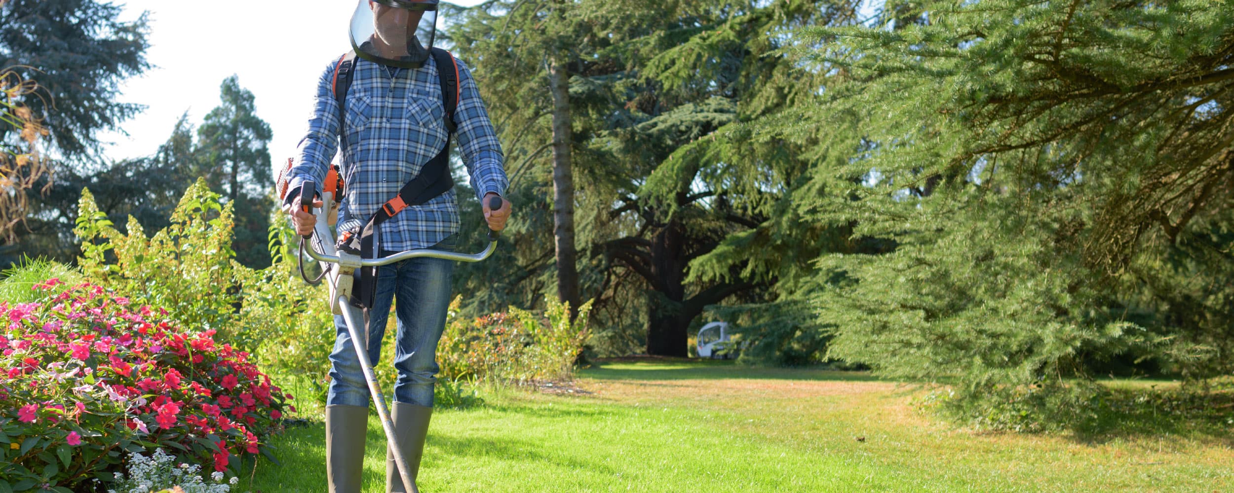 Débroussaillage terrain et jardin - Jardineo à Lausanne